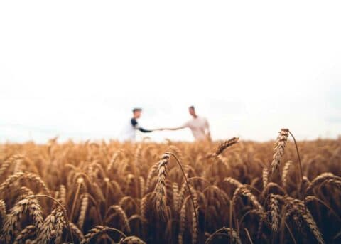 Our Impact Worldwide | Food Security | Global Food Exchange